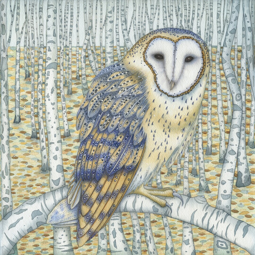 Single Greetings Card of an Original Painting: 'barn Owl Among the ...