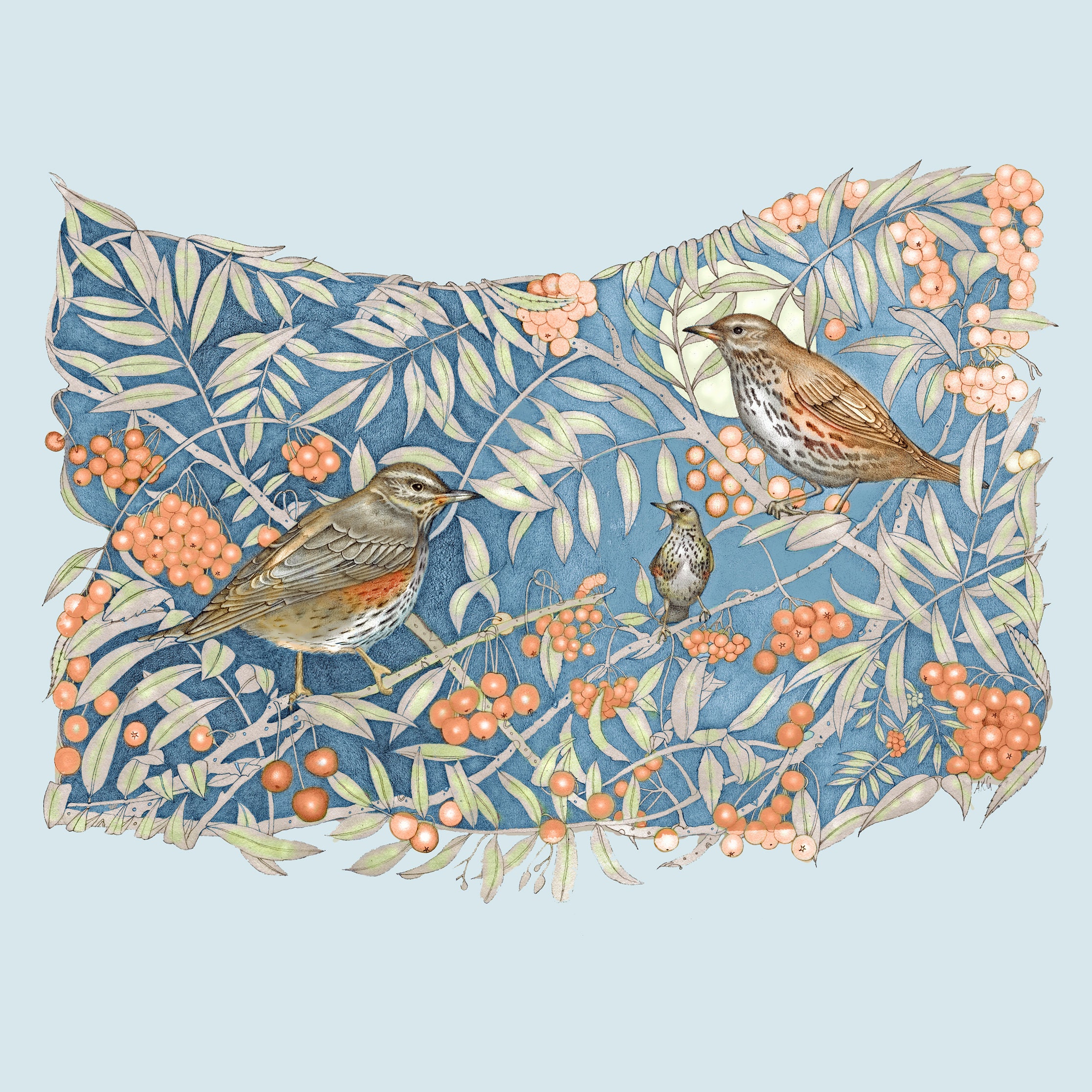 Fine Art Print of an Original Painting: 'fieldfares in the Rowan'. - Etsy