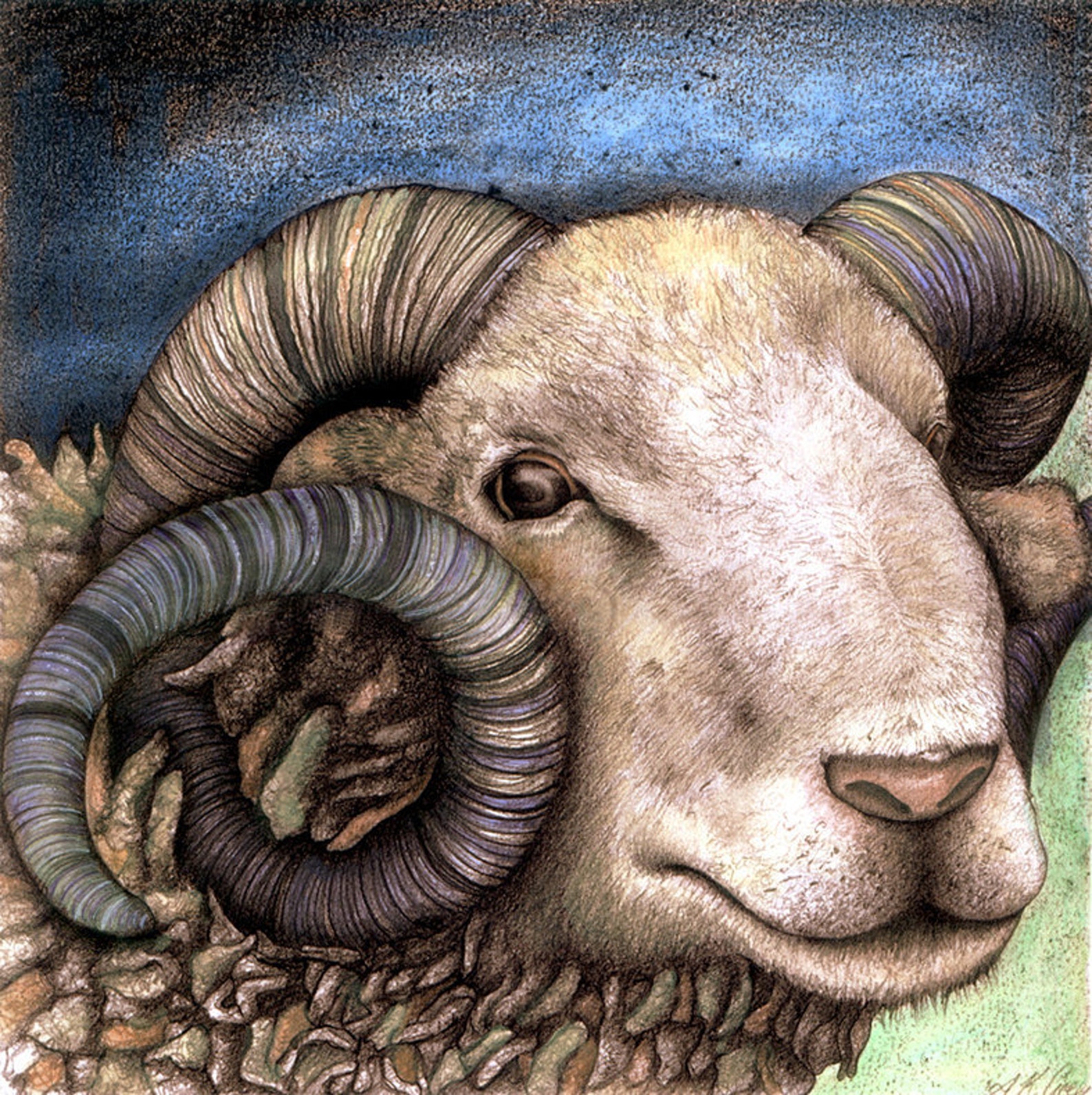 Fine Art Print of an Original Painting: 'ram'. - Etsy