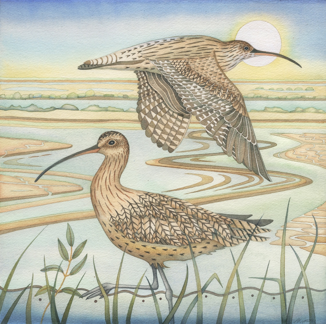 Fine Art Print of an Original Painting:'curlews' - Etsy