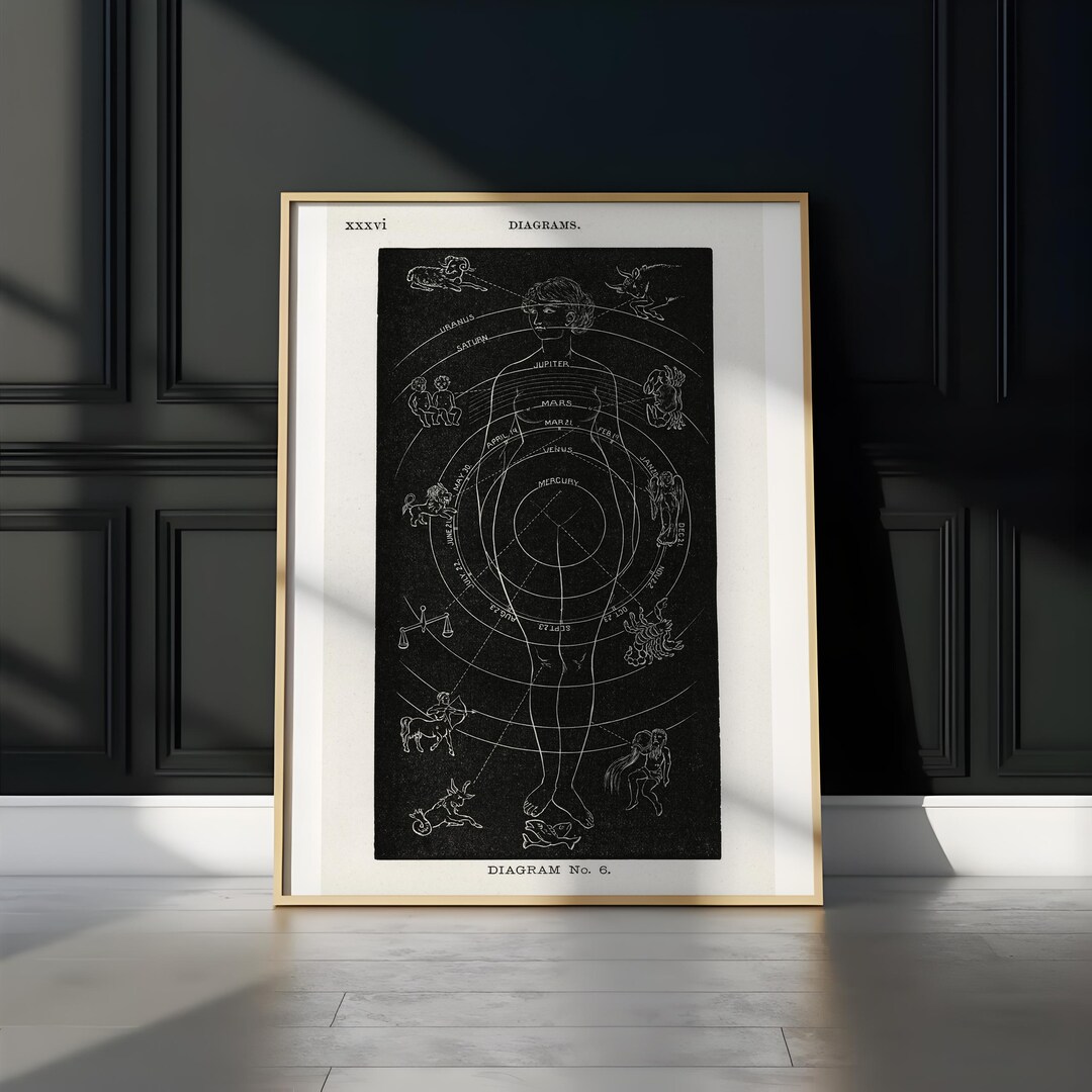 Zodiac Human Anatomy Diagram – Vintage Astrology Chart Art Print ...