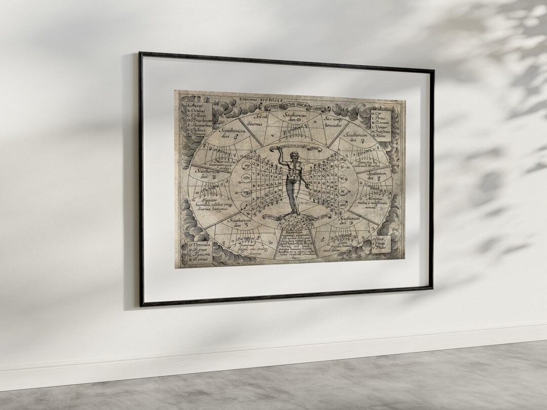 Esoteric Anatomy Wall Art Print – Vintage Human Diagram Poster for ...