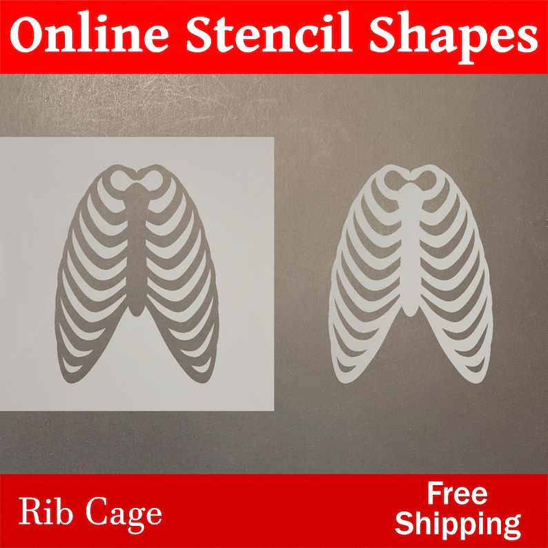 Reusable Rib Cage Mylar Stencil Plastic Art Template - Etsy