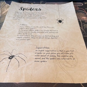 Spiders Grimoire Page / Dark Academia Print - Etsy