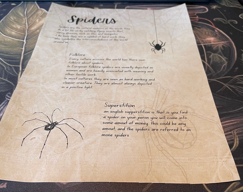 Spiders Grimoire Page / Dark Academia Print - Etsy