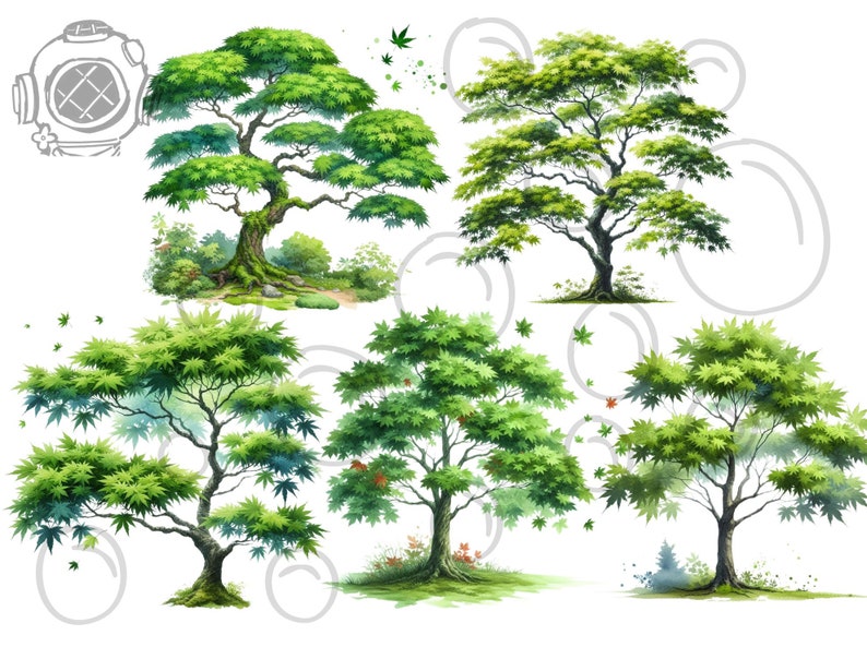 Watercolor Tree Clipart Different Types of Trees Clip Art PNG Format ...