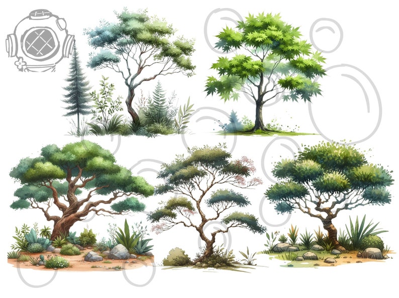 Watercolor Tree Clipart Different Types of Trees Clip Art PNG Format ...