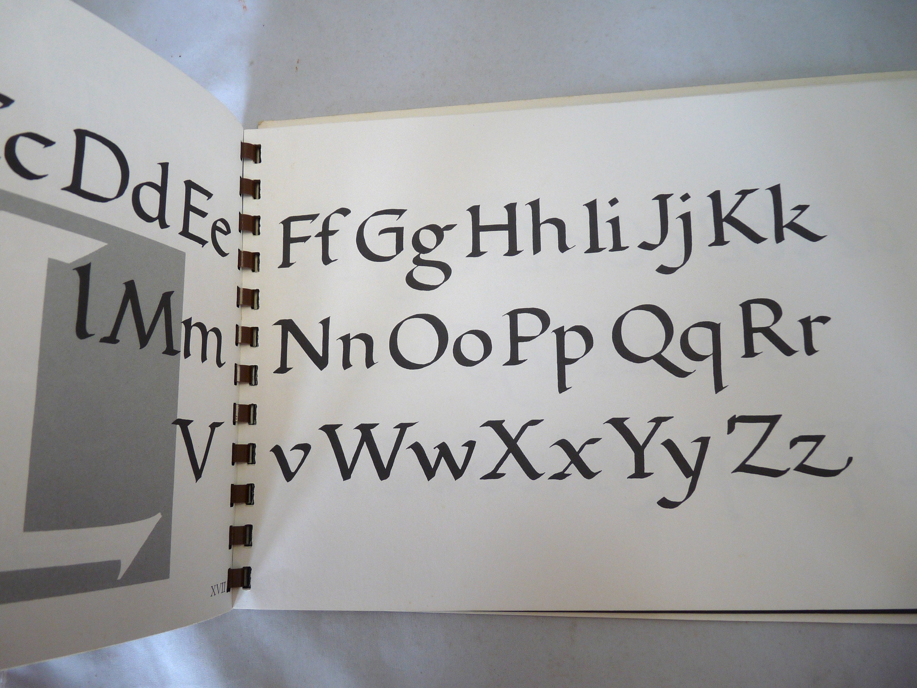 Calligraphy Art Lettering Broad Pen Byron Macdonald Book How to Art ...