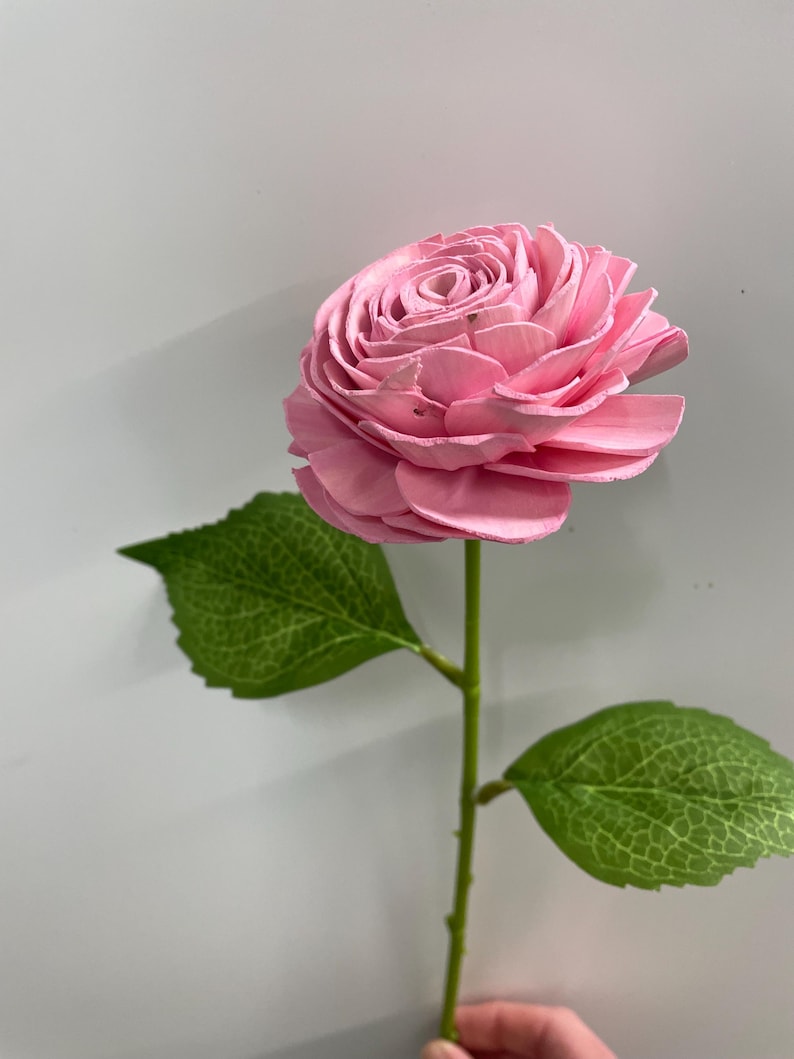 ROSES. Sola Wood Flower: Single Long Stem Roses, Lightly Scented - Etsy