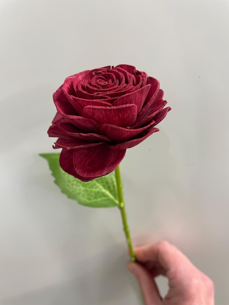 ROSES. Sola Wood Flower: Single Long Stem Roses, Lightly Scented - Etsy