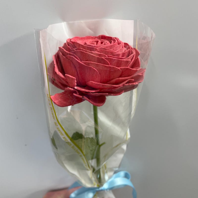 Single Stem Flowers - Etsy