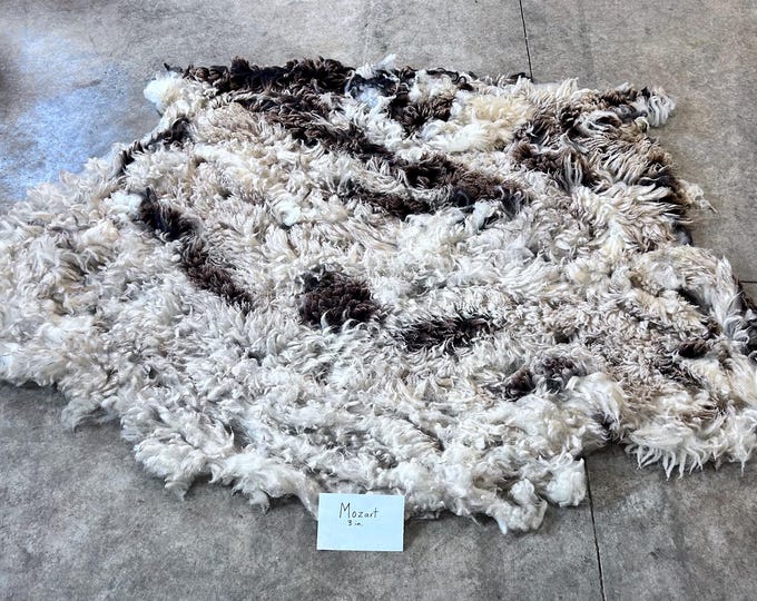 Whole Raw Skirted Jacob Sheep Fleece-mozart - Etsy