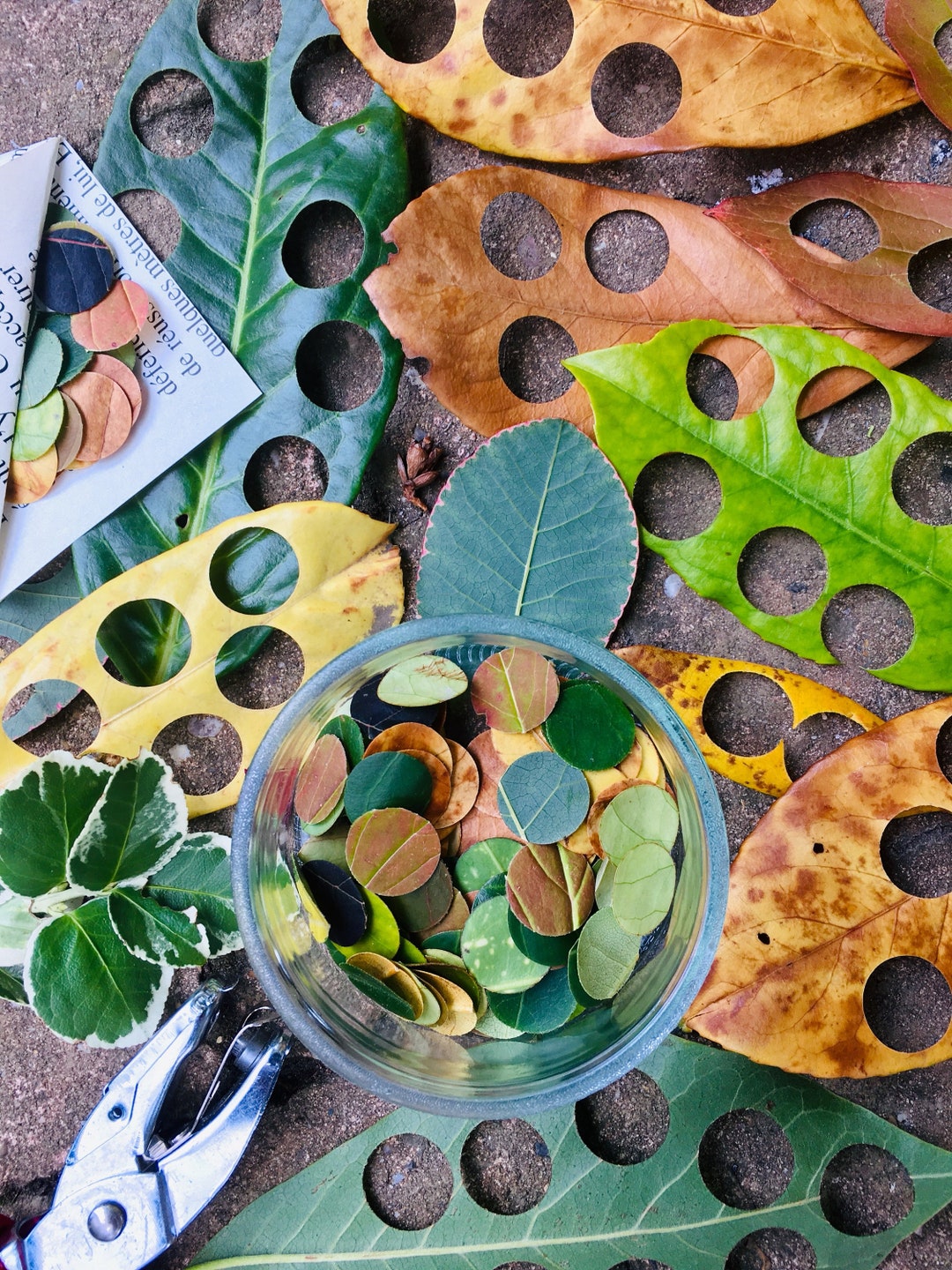 Biodegradable Confetti, Biodegradable Wedding Confetti, Leaf Confetti ...