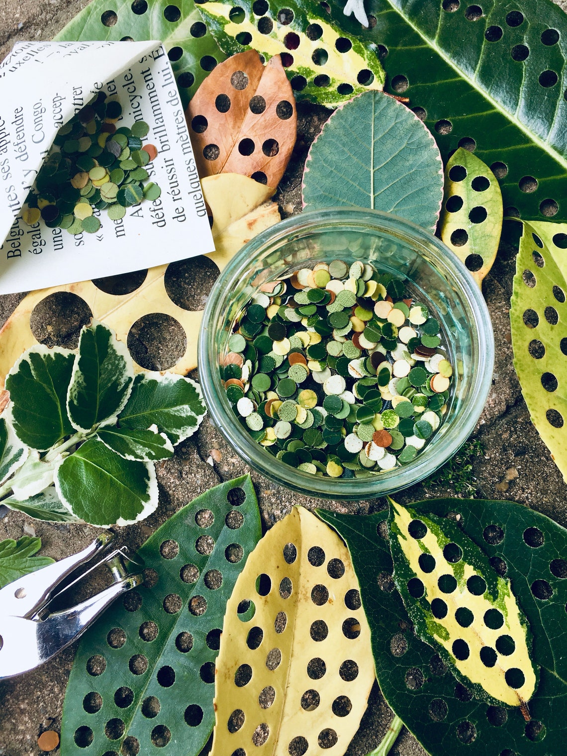 Biodegradable Confetti Biodegradable Wedding Confetti Leaf | Etsy