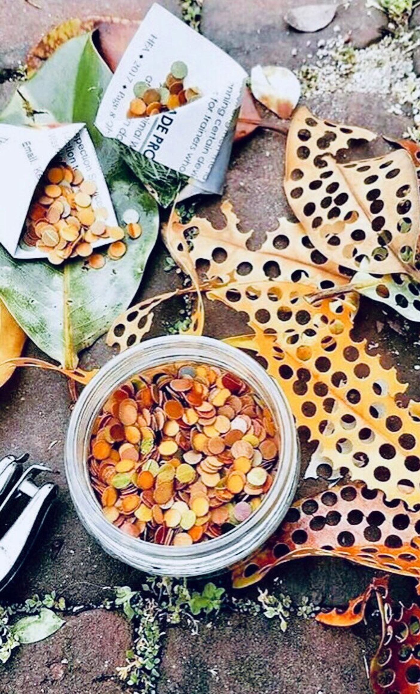 Biodegradable Confetti, Biodegradable Wedding Confetti, Leaf Confetti ...