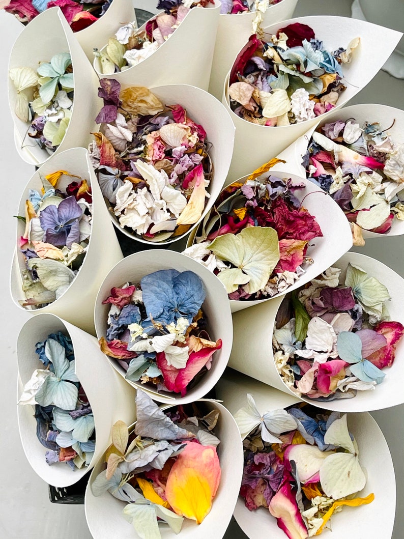 Biodegradable Confetti Wedding Confetti Petal Confetti | Etsy