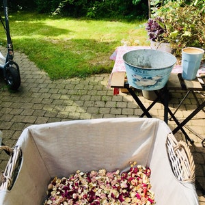 Biodegradable Confetti, Wedding Confetti, Petal Confetti, Flower ...