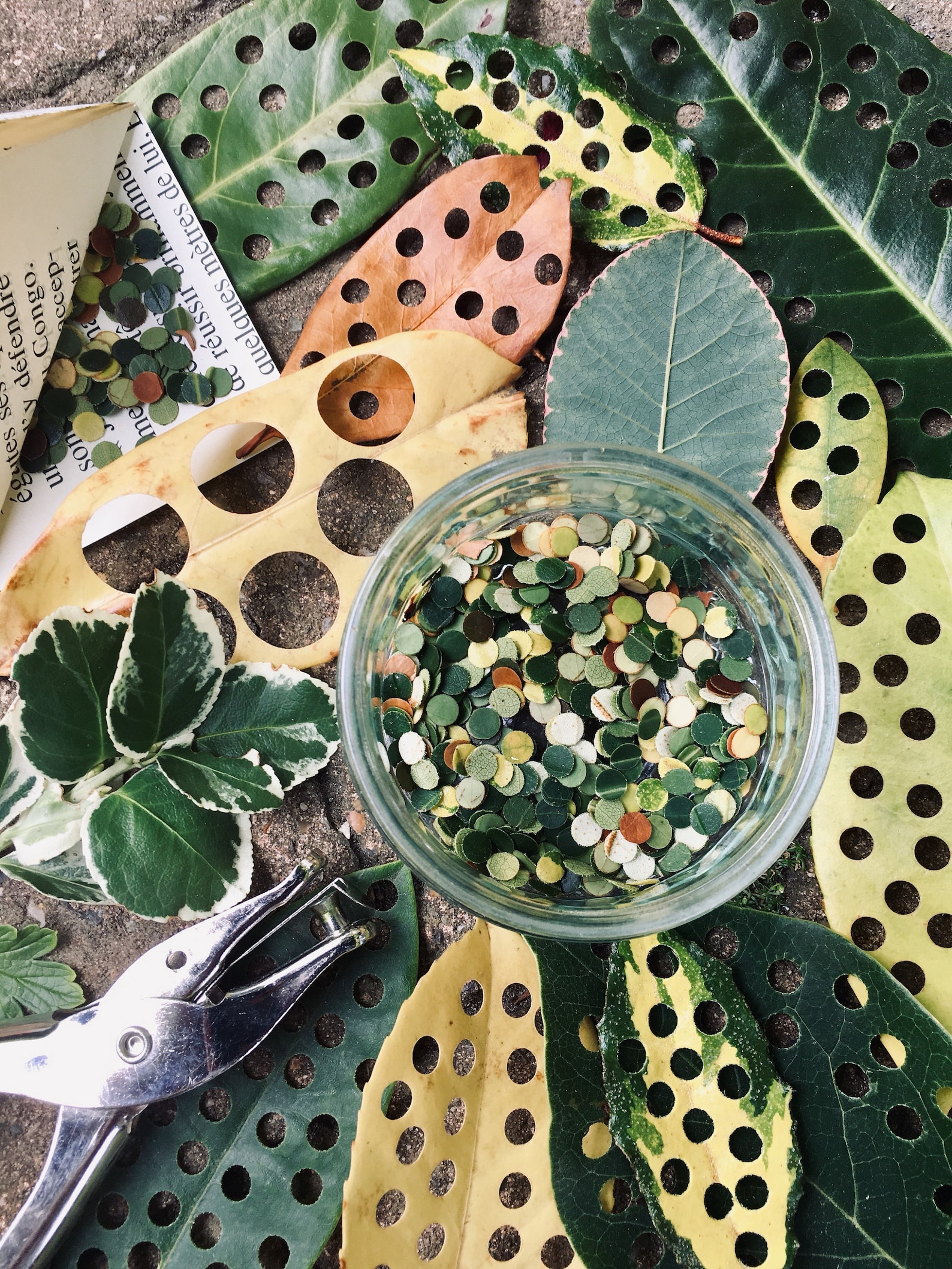 Biodegradable Confetti Biodegradable Wedding Confetti Leaf | Etsy