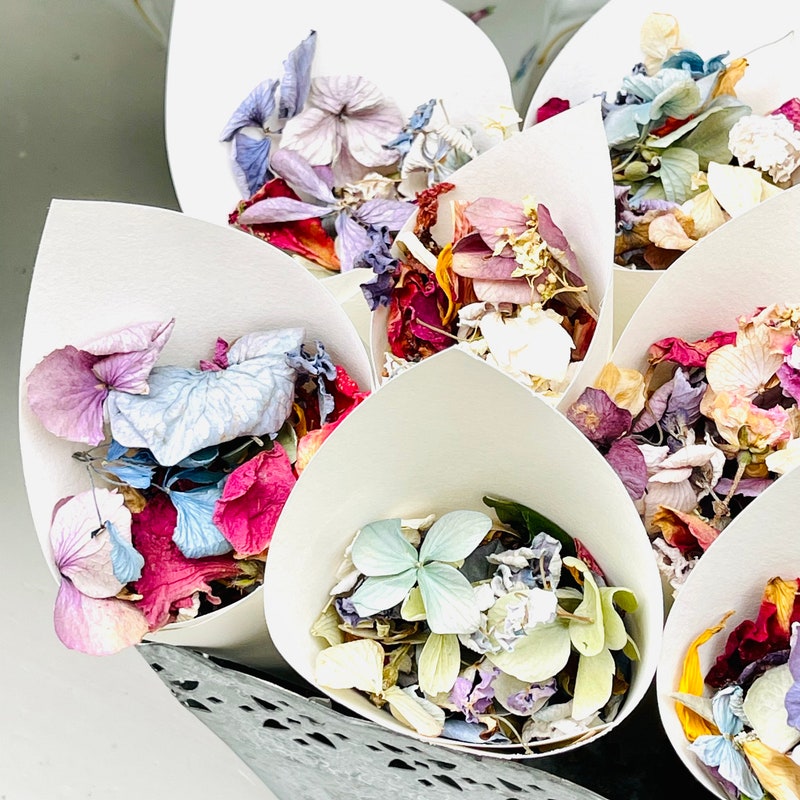 Biodegradable Confetti - Etsy