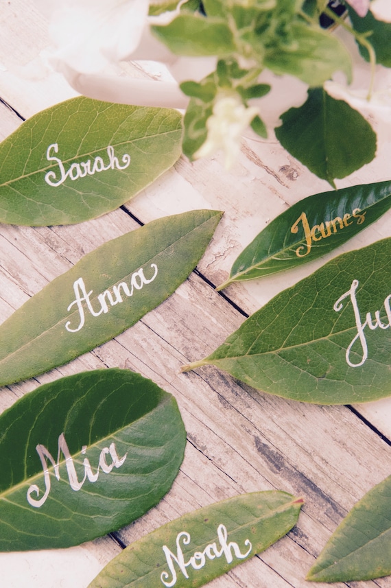 Modern Calligraphy Handwritten Green Table Seating Cards Wall Hangings ...