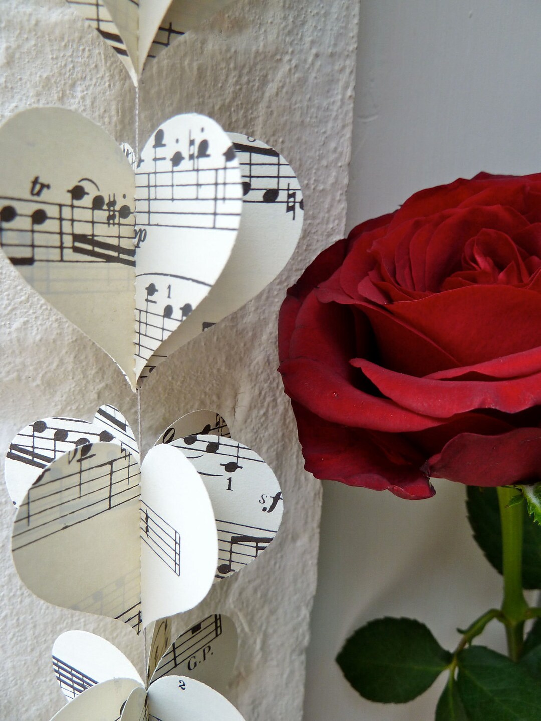 Biodegradable, Bridal Shower Decorations, Mothers Day Decor, Rustic ...