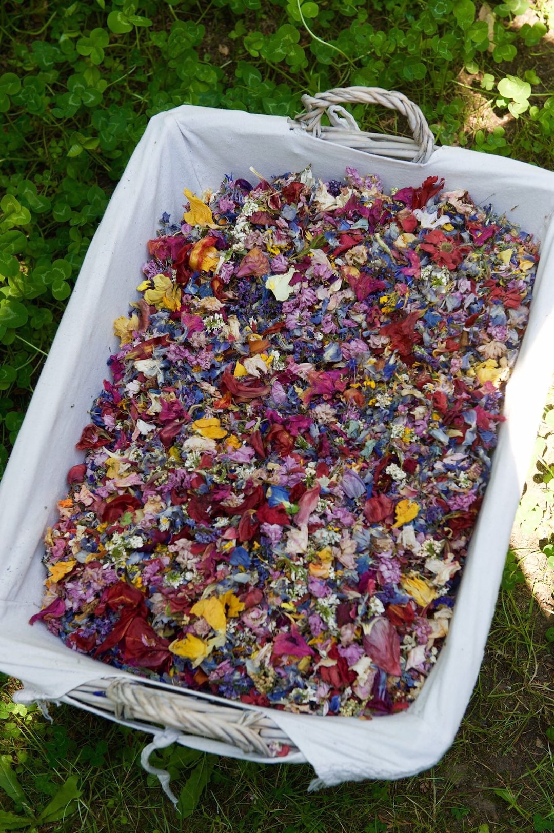 Biodegradable Confetti, Wedding Confetti, Petal Confetti , Flower ...