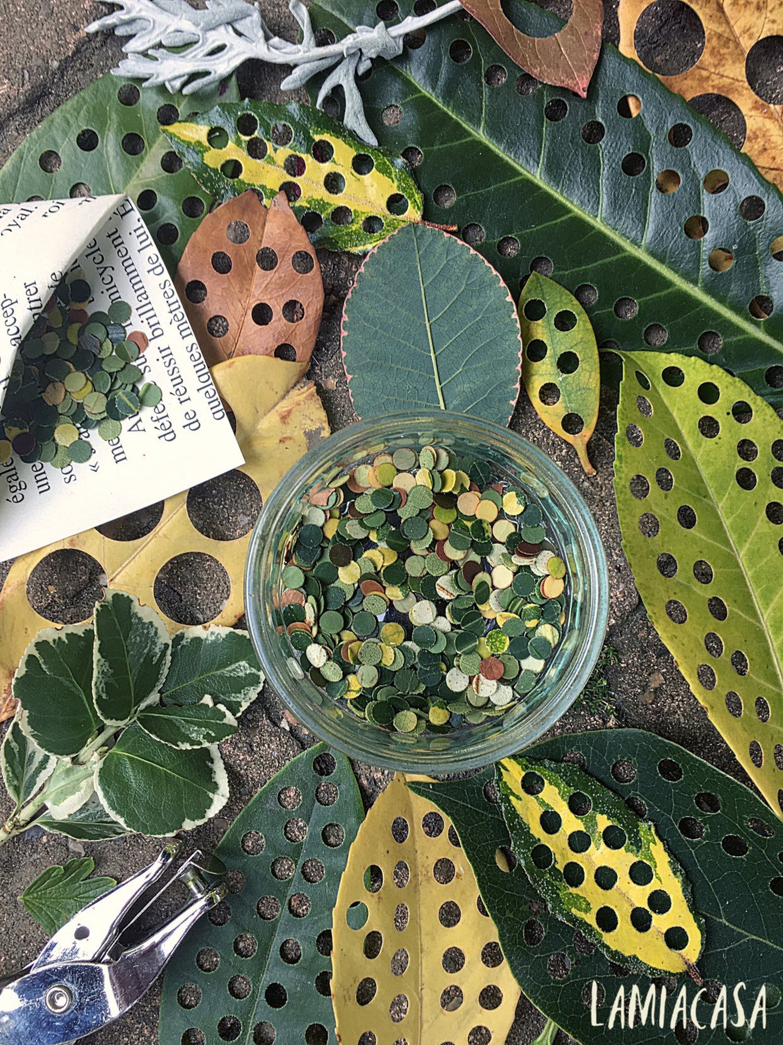 Biodegradable Confetti, Wedding Confetti, Leaf Confetti, Eco Confetti ...