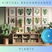 Monstera Plants Zoom Backgrounds, Zoom Background Office, Zoom ...