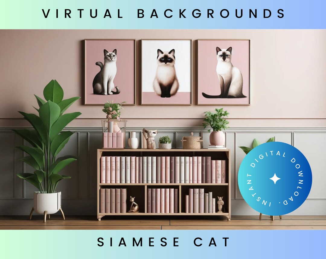 Siamese Cat Pink Zoom Backgrounds, Cat Decor, Zoom Background, Zoom ...