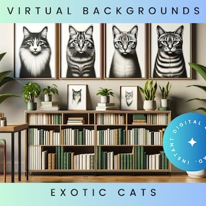 Exotic Cat Olive Green Zoom Backgrounds, Cat Decor, Zoom Background ...