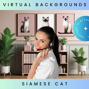 Siamese Cat Pink Zoom Backgrounds, Cat Decor, Zoom Background, Zoom ...
