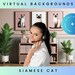 Siamese Cat Pink Zoom Backgrounds, Cat Decor, Zoom Background, Zoom ...