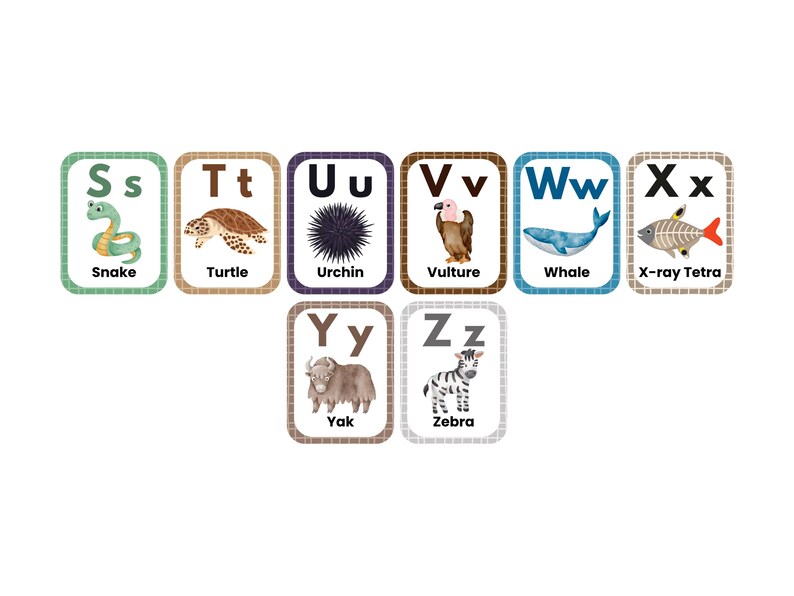 Animal Alphabet Flashcards | A-Z Educational Cards for Kids | Preschool ...