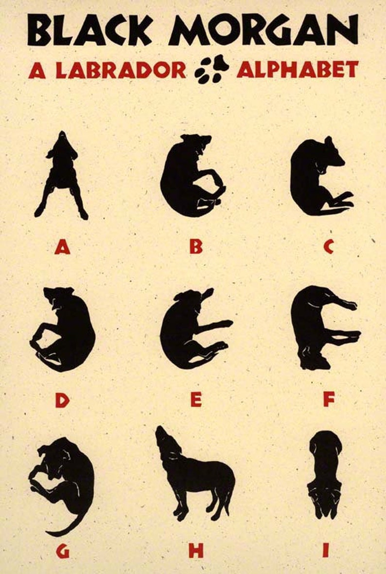 A Labrador Alphabet Poster - Etsy