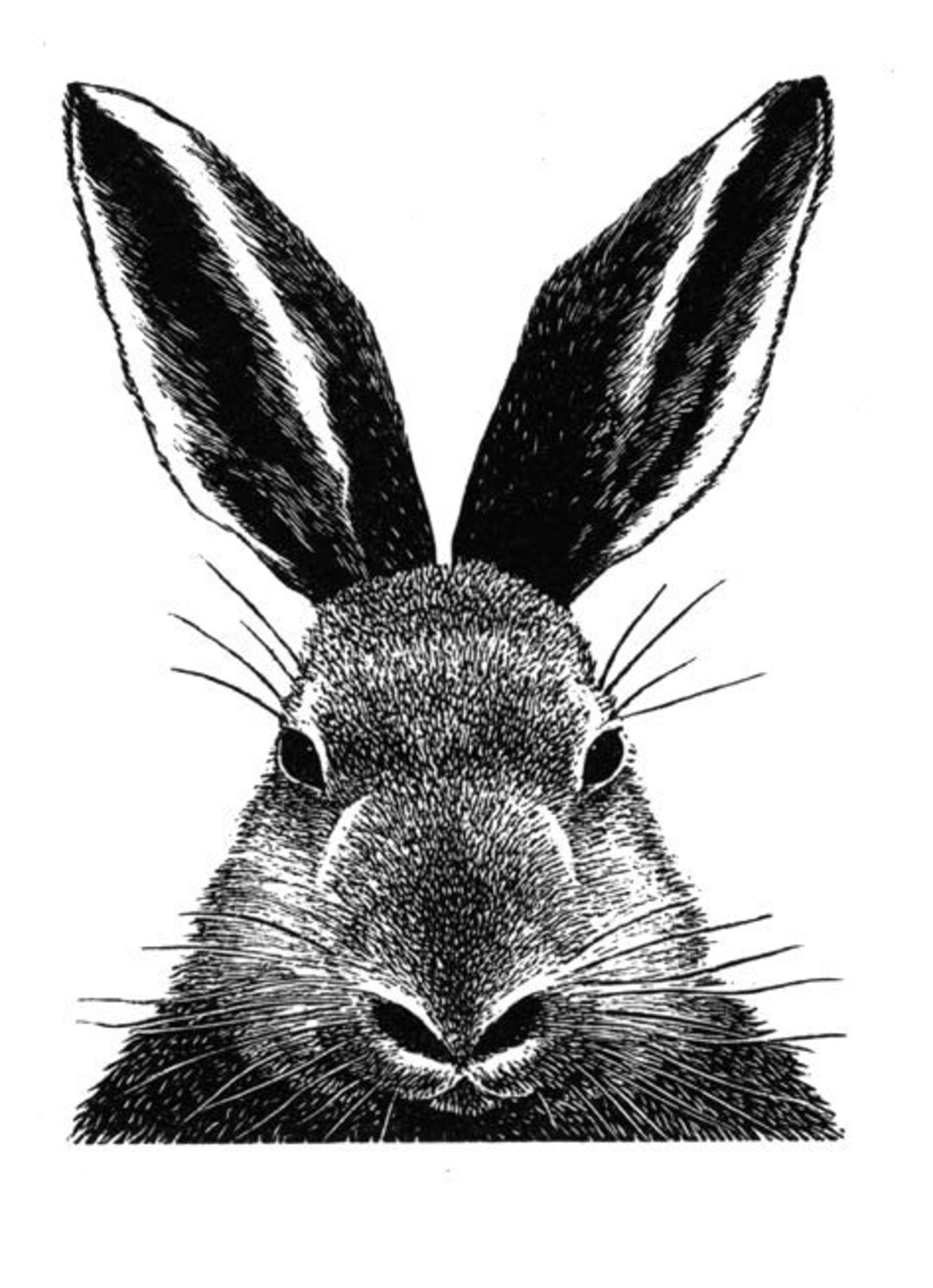 Rabbit Wood Engraving - Etsy