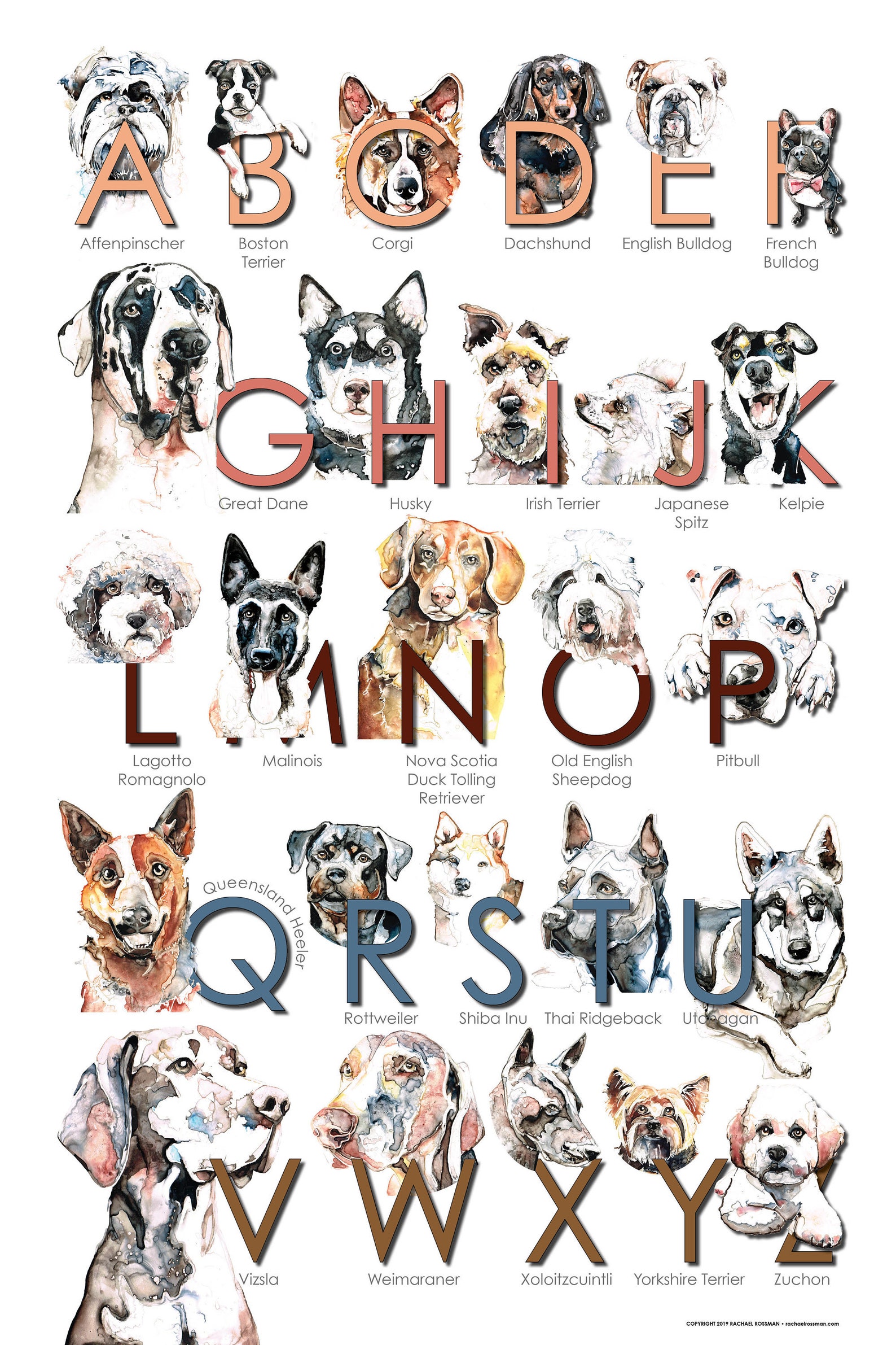Dog Breed Alphabet Art Poster 12x18 | Etsy