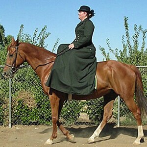 1883 Riding Habit Bodice Sewing Pattern: Truly Victorian TV464 (digital ...