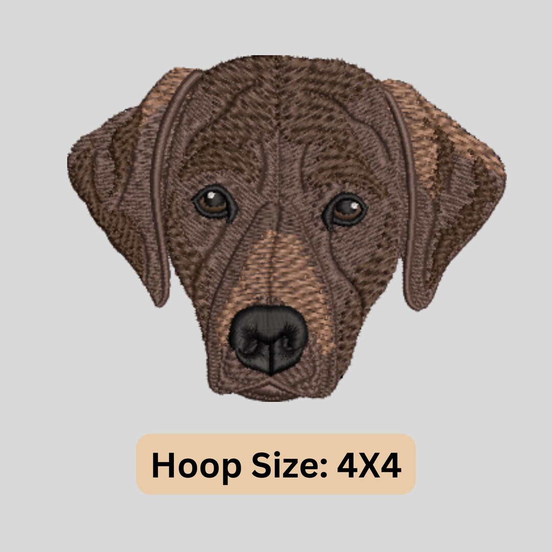 Chocolate Labrador Retriever Embroidery Design, Realistic Chocolate Lab ...