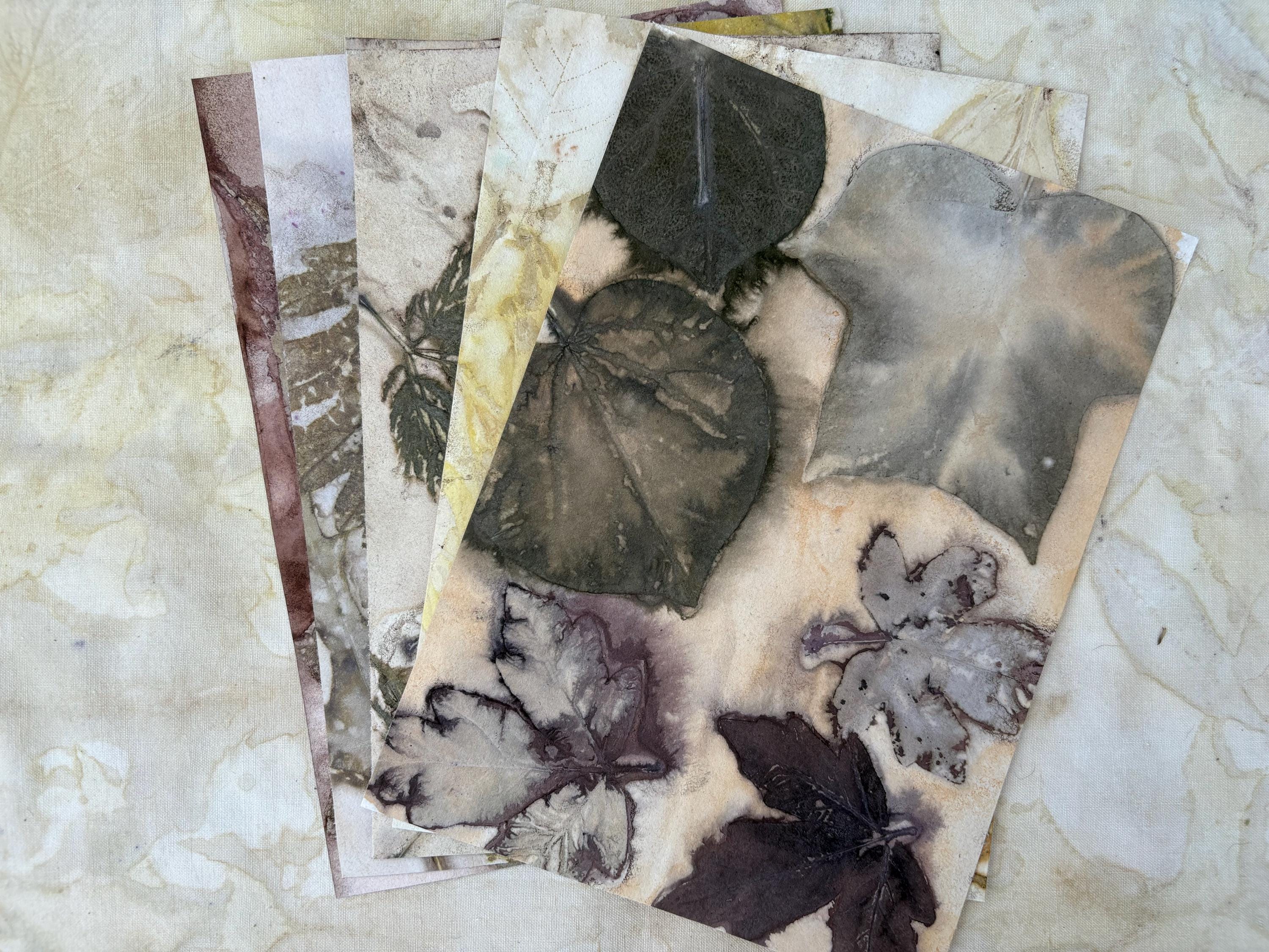 Beautiful Eco Printed Papers - Pack of 5 Random Selection Set B - Etsy