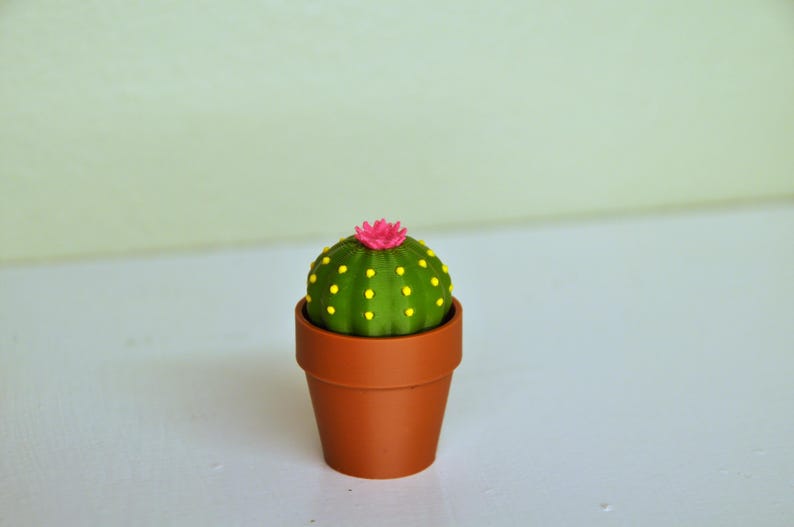 Clicky Cactus Fidget Toy - (set of 3 Plant Fidget Toys) - Sensory ...