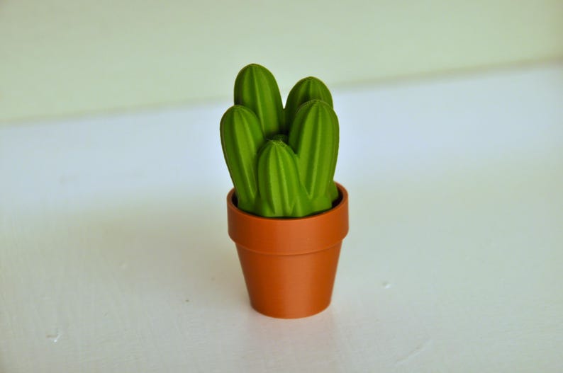 Clicky Cactus Fidget Toy - (set of 3 Plant Fidget Toys) - Sensory ...