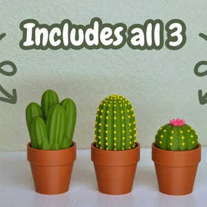 Clicky Cactus Fidget Toy - (set of 3 Plant Fidget Toys) - Sensory ...