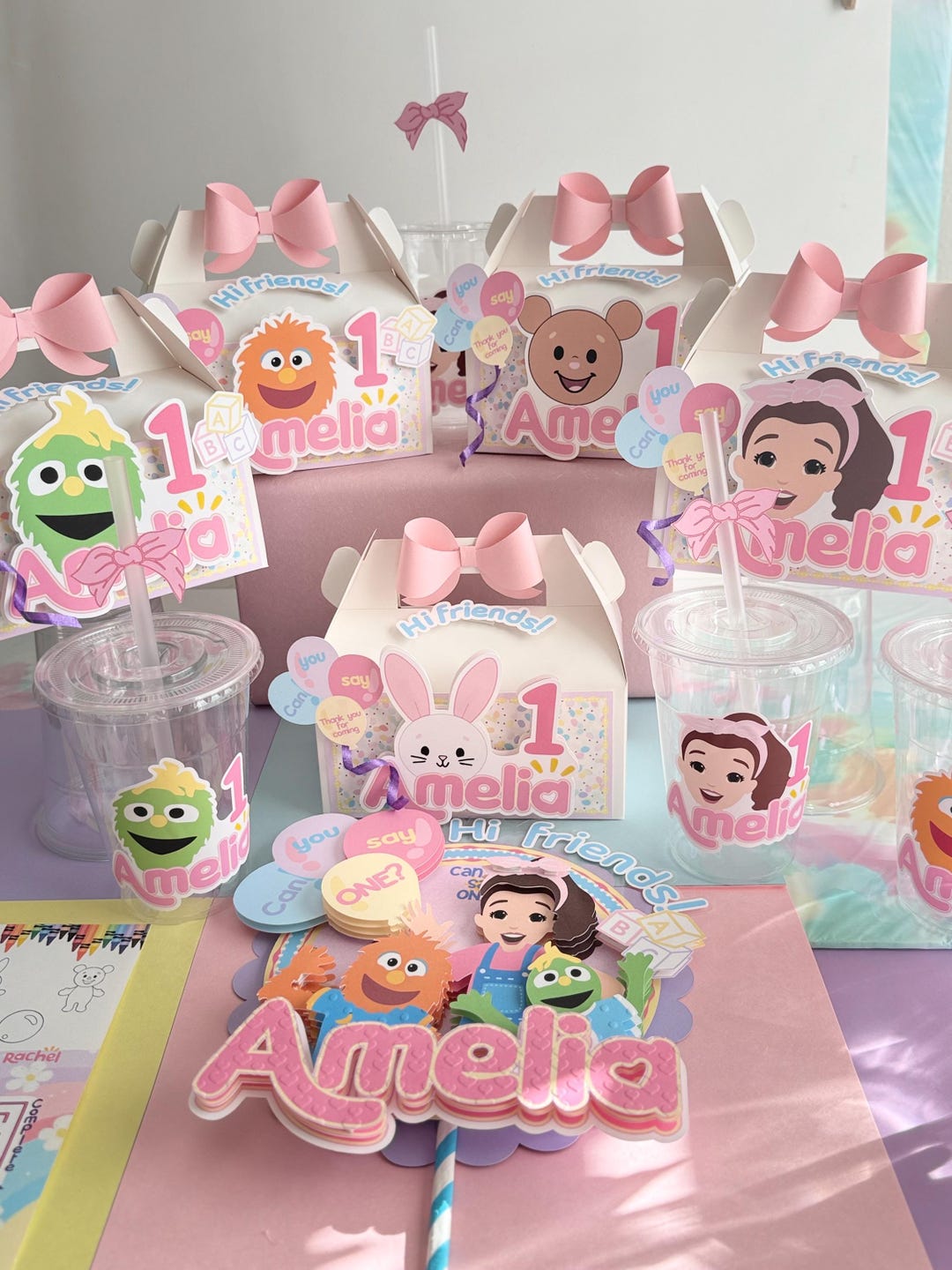 Package for 12, 24 Guests, Ms Rachel Birthday, Ms. Rachel Party, Ms ...