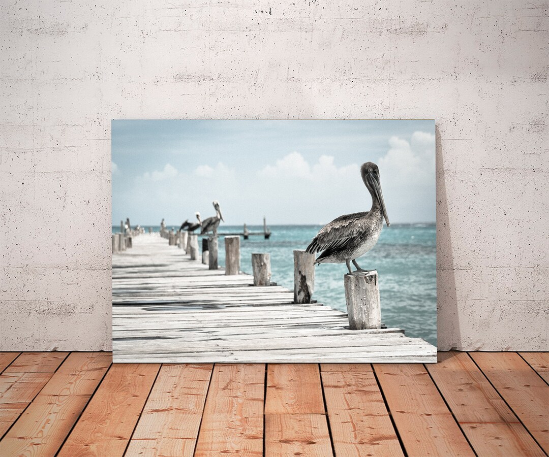 Pelicans Bird Prints Pelican Wall Art, Bird Poster Pelican Print Canvas ...