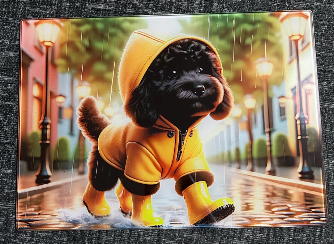 Cockapoo Wearing Mac and Wellies A4 Glass Chopping Board - Etsy