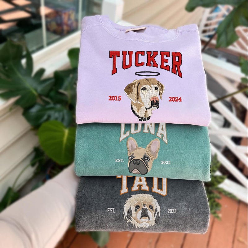 College Pet Sweatshirt - Etsy