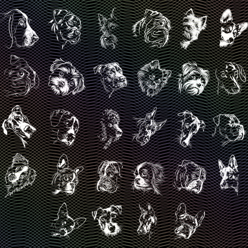 Dog Face PNG Digital Download, Dogs Face SVG, Dog Breed Peeking Design ...