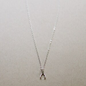 Furcula - Silver Wishbone Necklace - Etsy