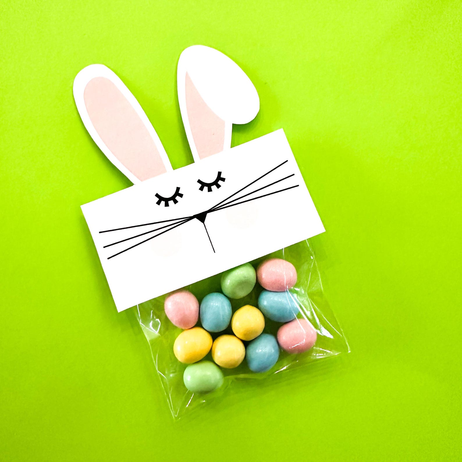 Easter Bunny Craft, Easter Bunny Favor, Easter Kids Party Craft, Bunny ...