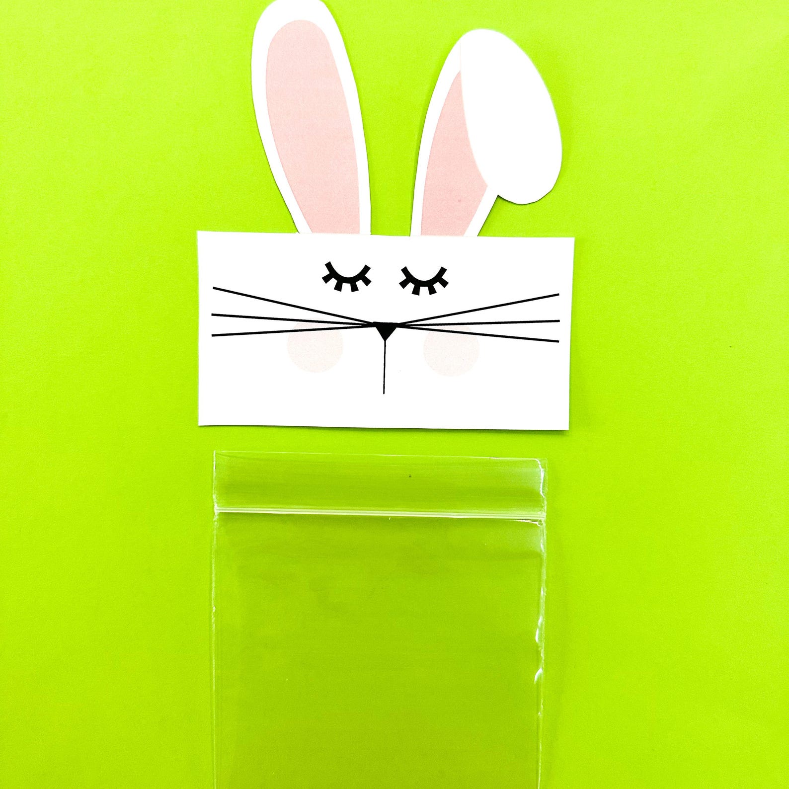 Easter Bunny Craft, Easter Bunny Favor, Easter Kids Party Craft, Bunny ...